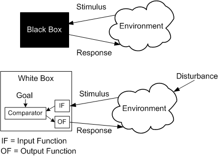 Empty: Pembahasan Mengenai Black Box dan White Box Testing