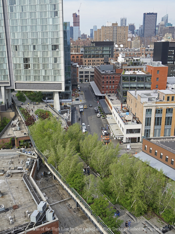 Three Dogs in a Garden: Gardens of the High Line– Book Review and Giveaway