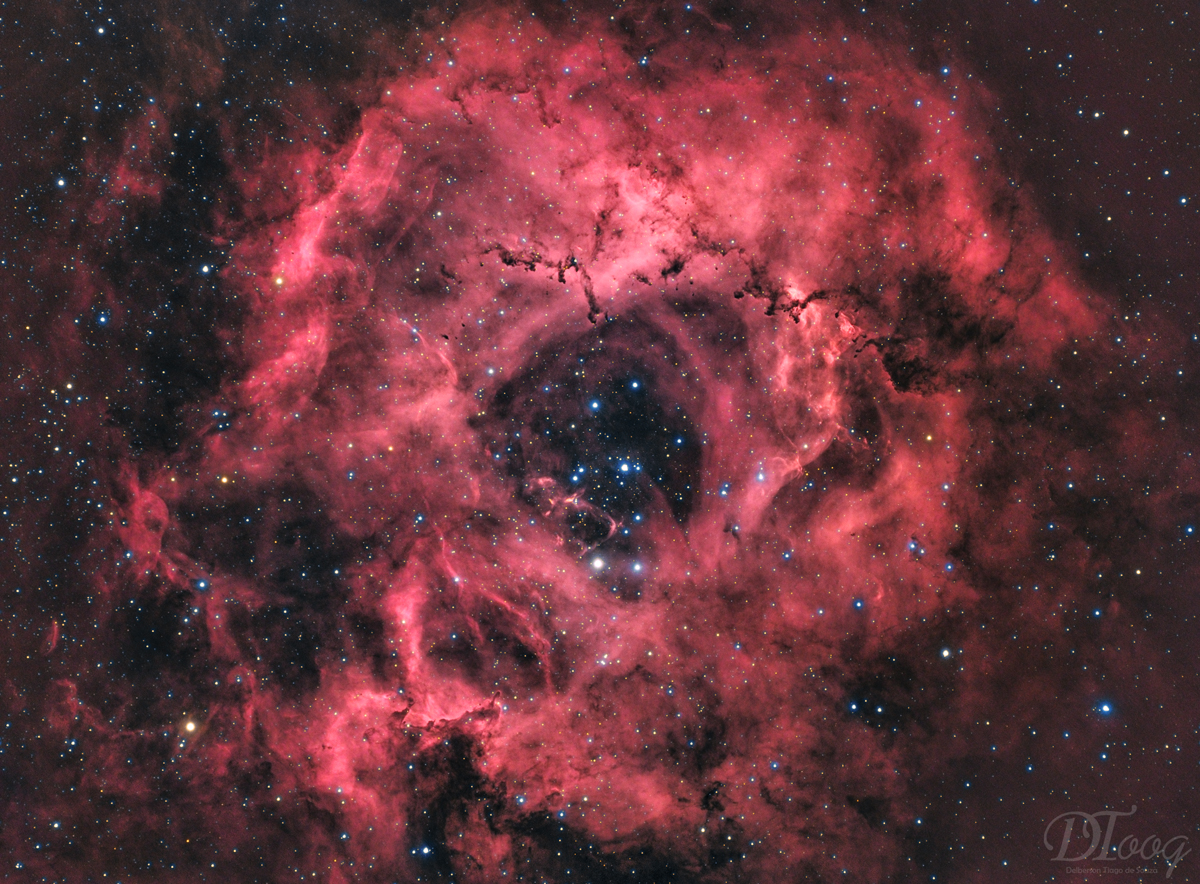 Blog do Delberson: Nebulosa Roseta - NGC 2237