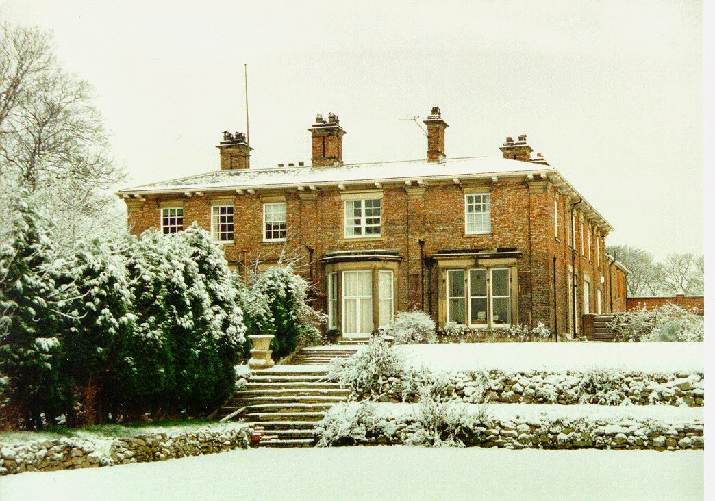 Landed families of Britain and Ireland: (110) Allison of Undercliff ...