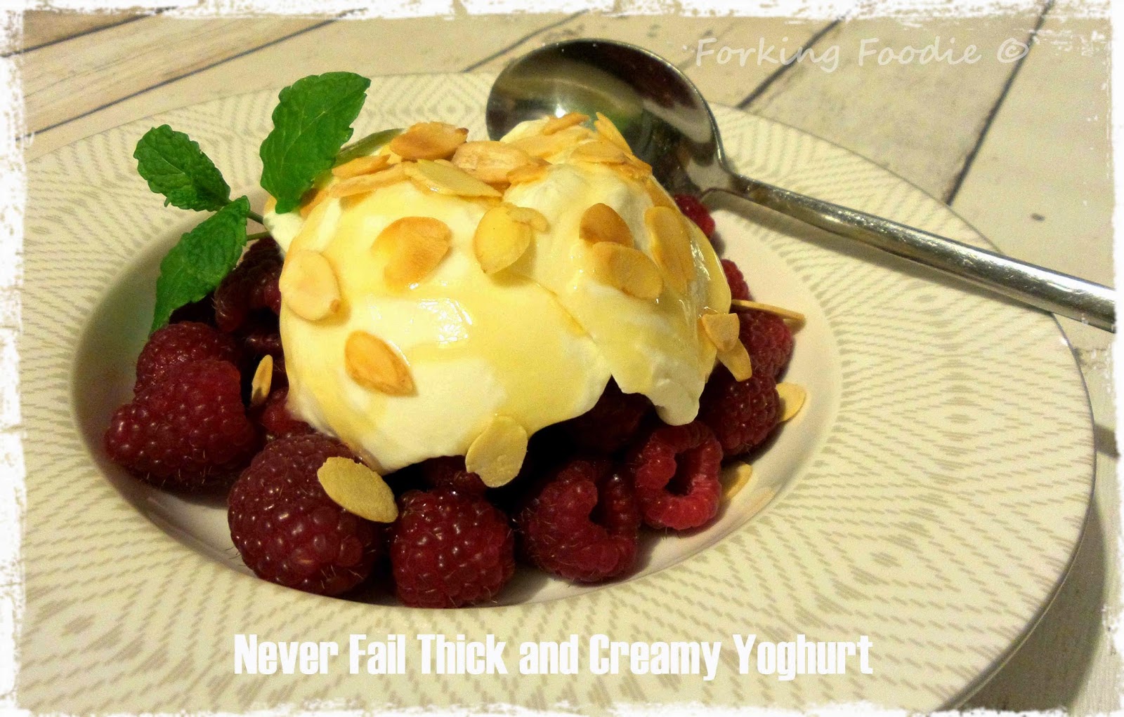 Forking Foodie: No Fail, Deliciously Thick and Creamy Thermomix Yoghurt