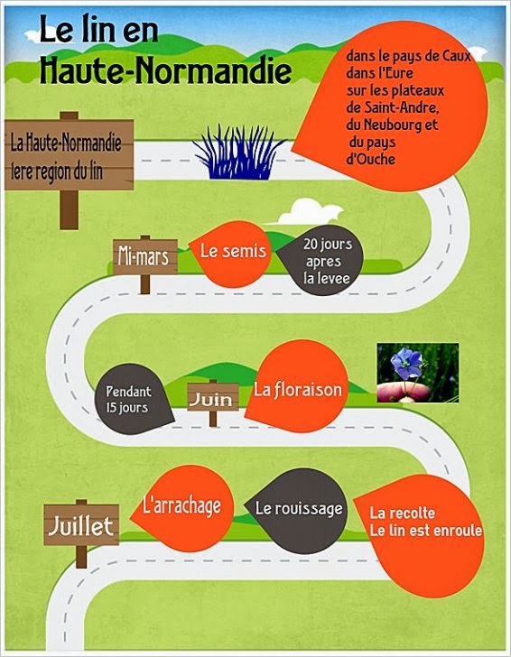 Lin Plant' Eure: Une culture : le lin