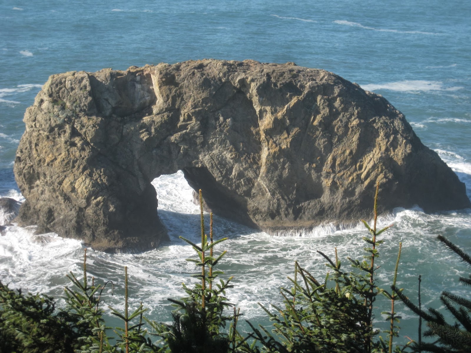 Glenn & Carol's Hiking Adventures: Harris Beach - Arch Rock - Natural ...