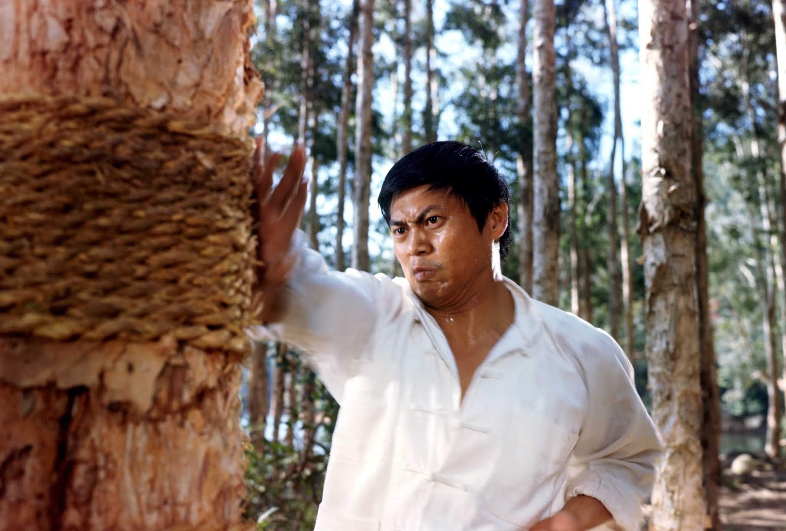 Kampung Pendekar - 武俠之村: King Boxer (天下第一拳; 1972)