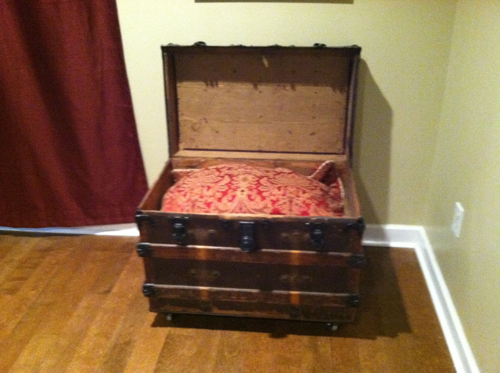 Uva Uvam Vivendo Varia Fit: repurposed steamer trunk