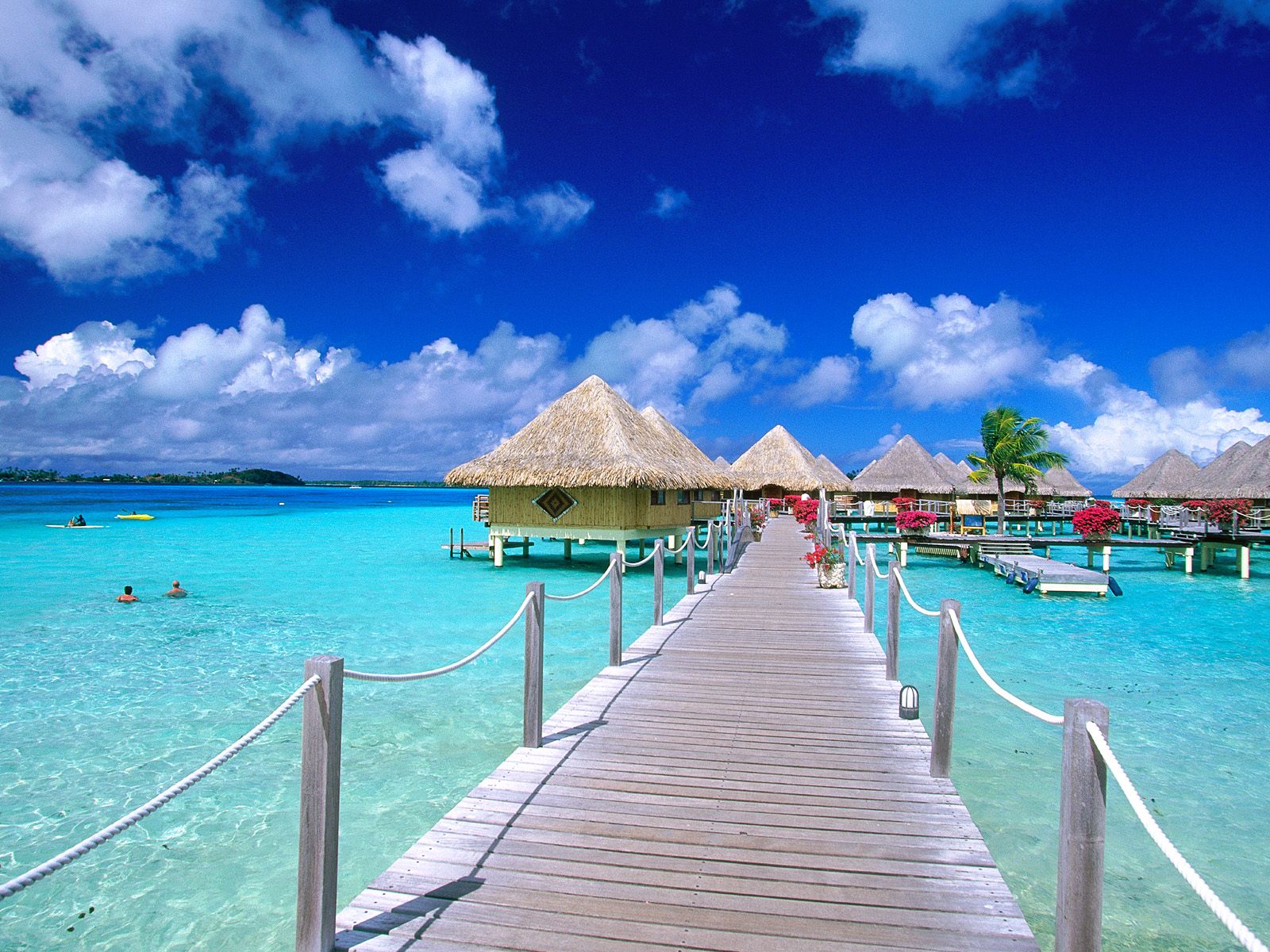 Beautiful Beach And Cruise: Bora Bora Island, Tahiti