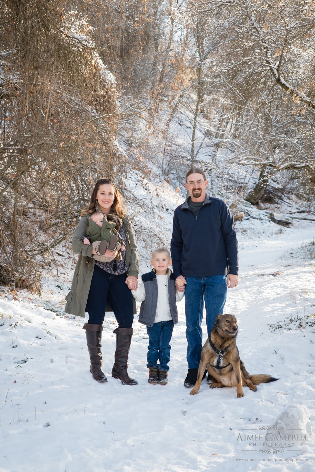 Logan Utah Senior, Family, and Portrait Photographer: Family Portraits ...