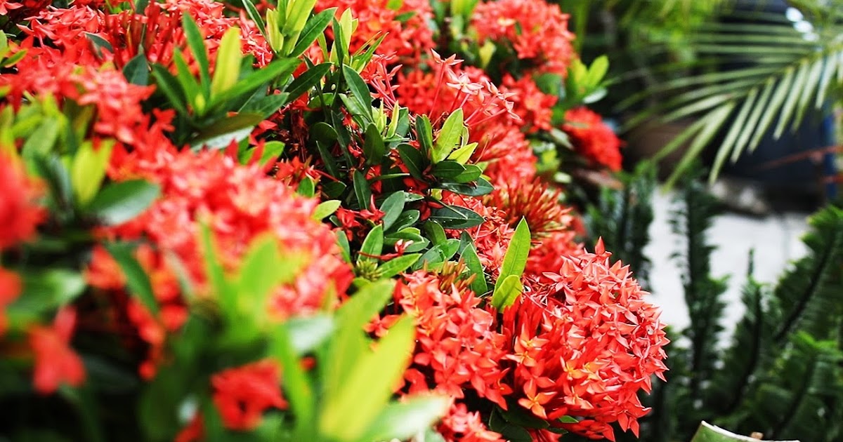 โรงเรียนเทศบาลวันศรีประชาสรรค์