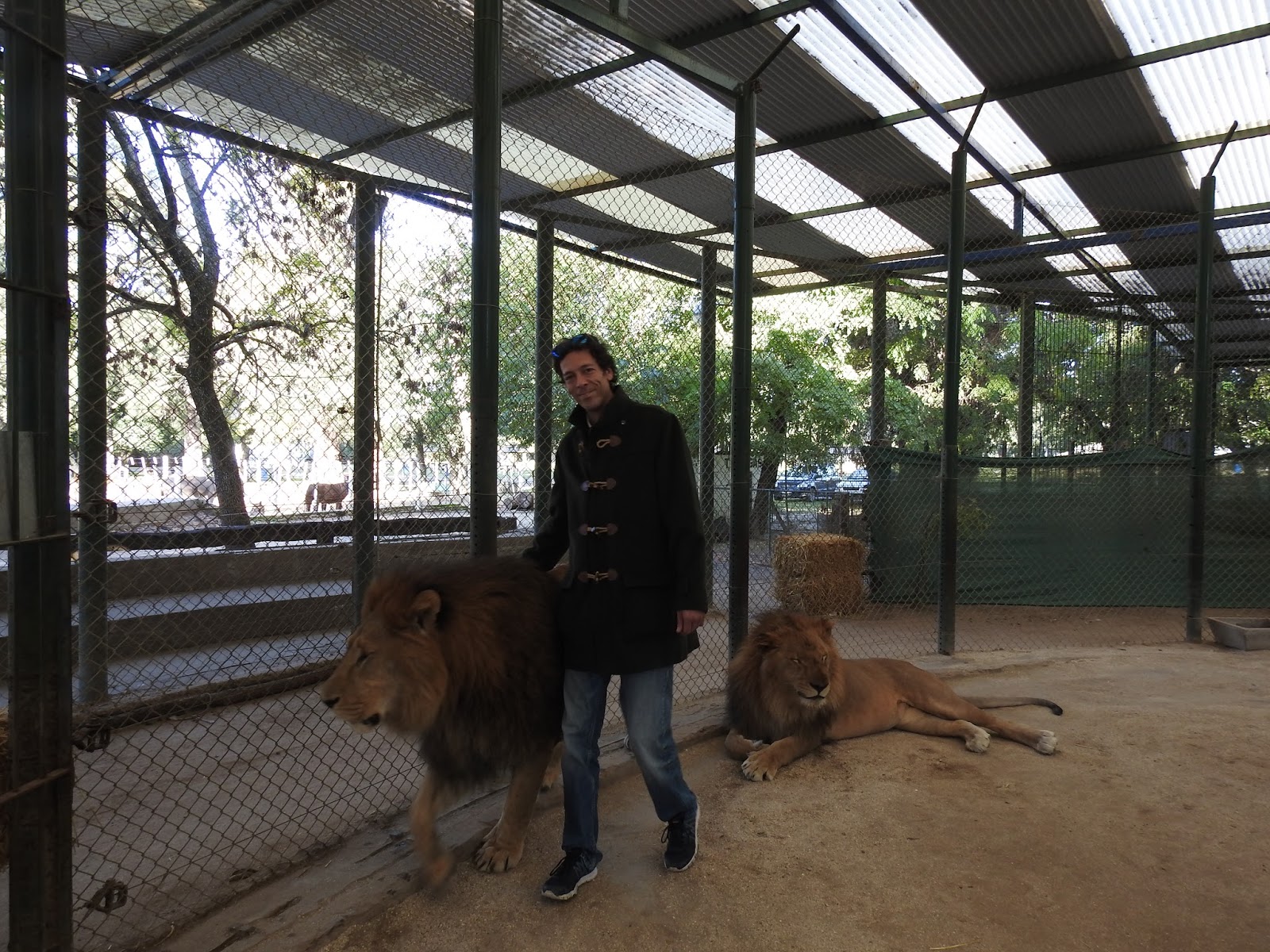 POR TIERRA POR LA TIERRA: Zoo de Luján y Museo de Transportes