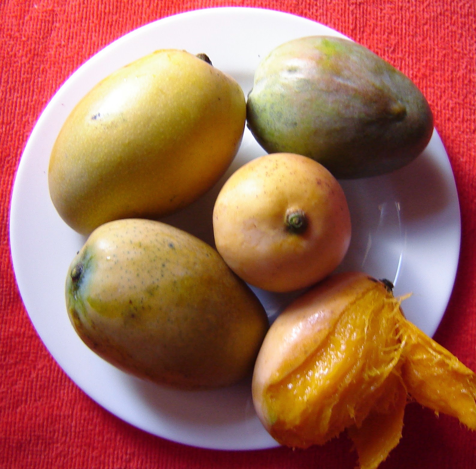 v e r d e c h a c o: Mango