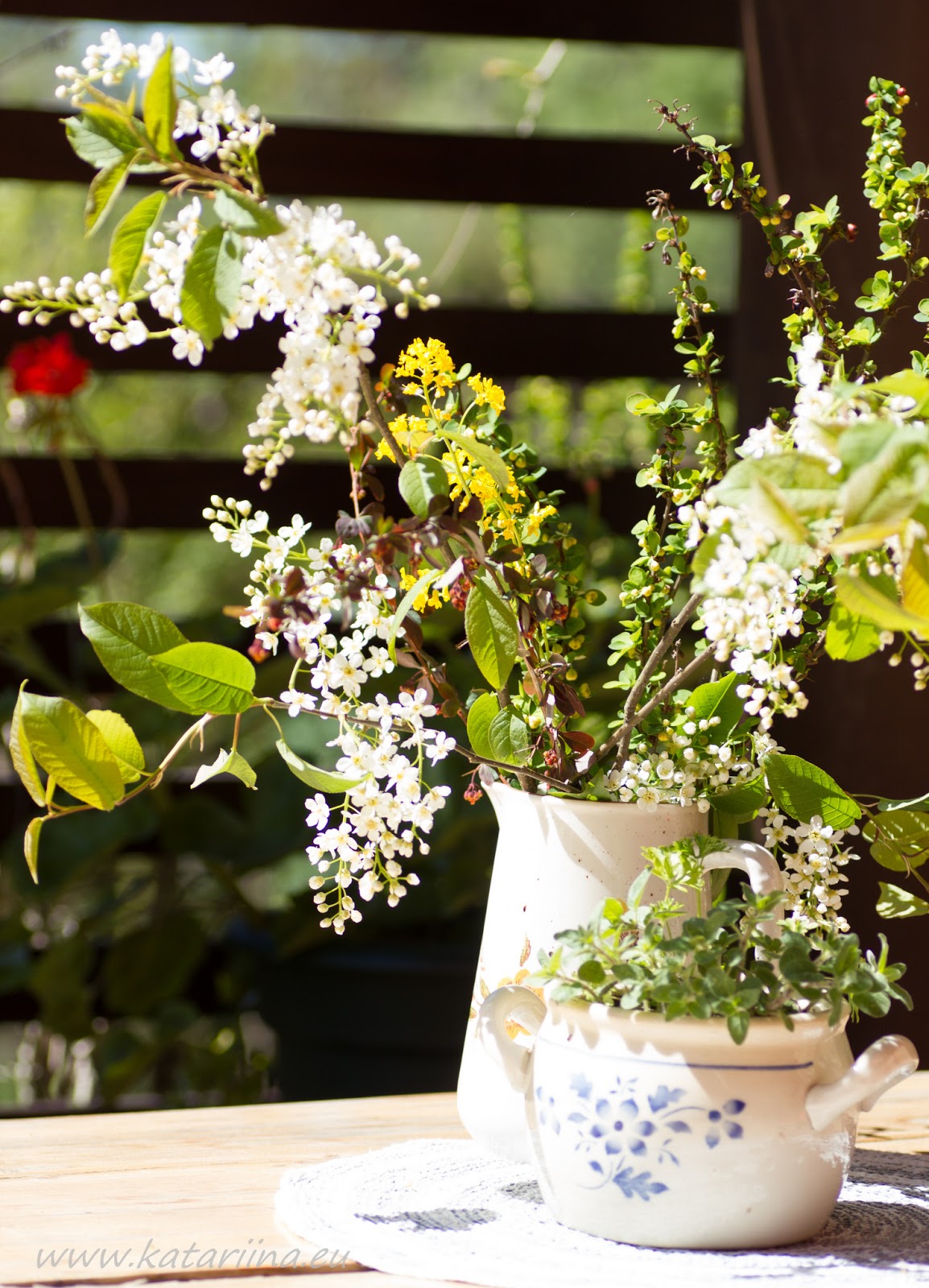 Katariina kudugurmee: Kevad on aias.