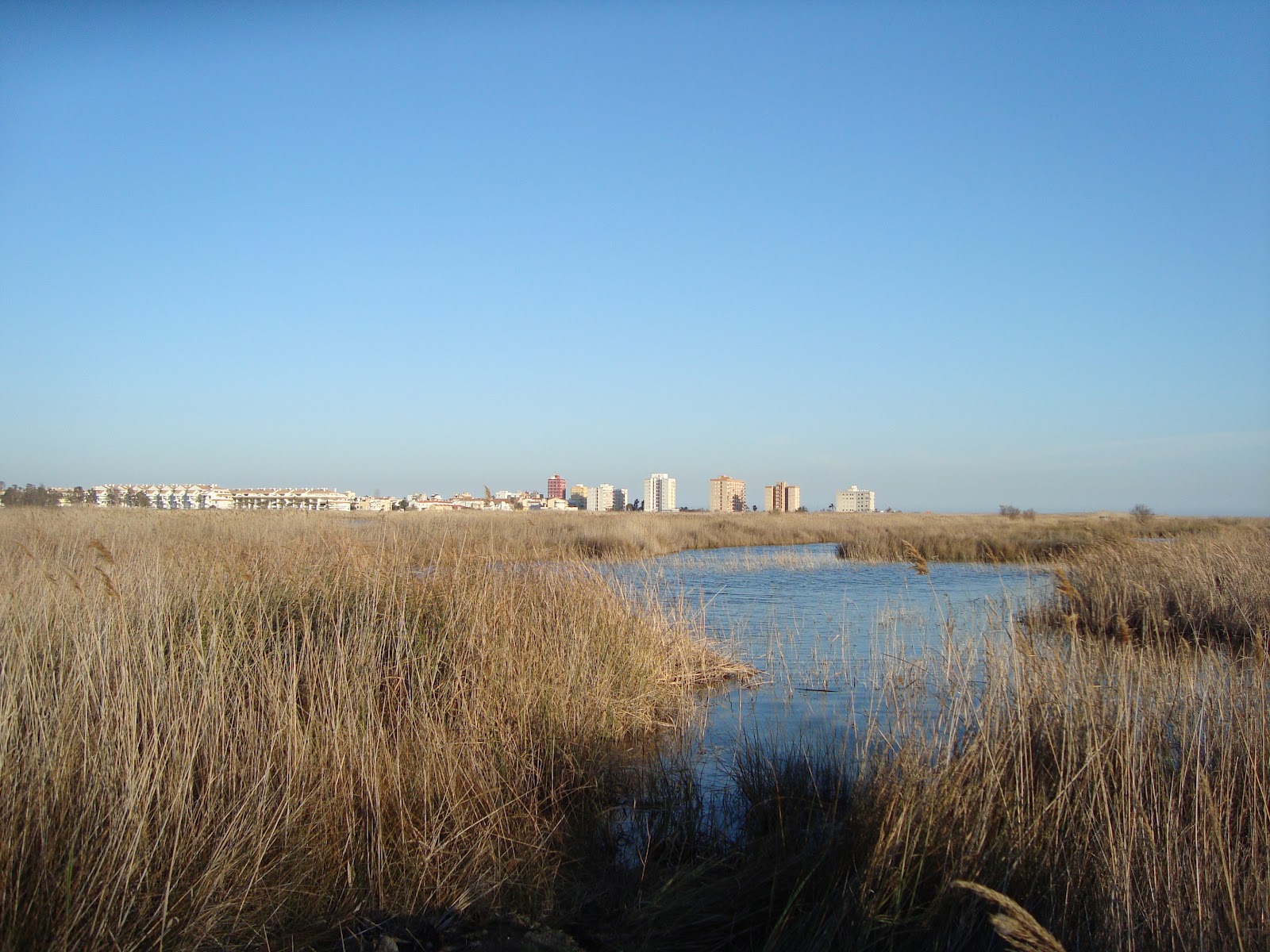 Conocer Castellón: PARQUE NATURAL DEL PRAT DE CABANES-TORREBLANCA