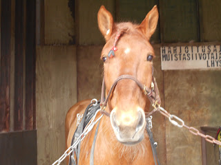 Kalkaros 29,4ake 29,8ke: AIKAA ON KULUNUT