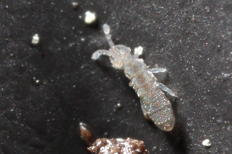 Biodiversity Science: September 2012