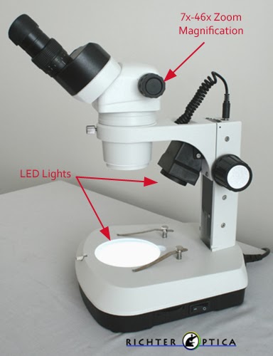Microscope World Blog: Popular High School Dissecting Microscopes