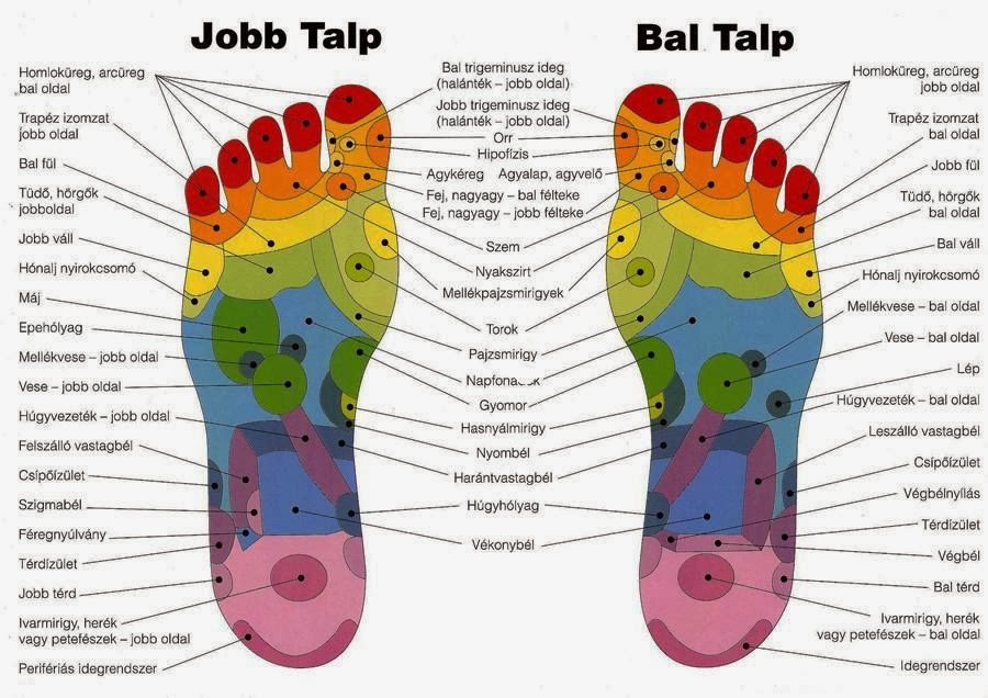 A MAGYAROK TUDÁSA: A kézben - a talpon... benne van az egész ember ...