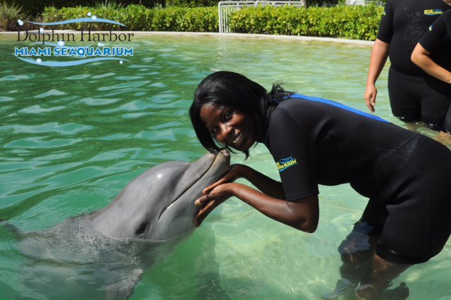 Diamond Girls: "Women of Substance"