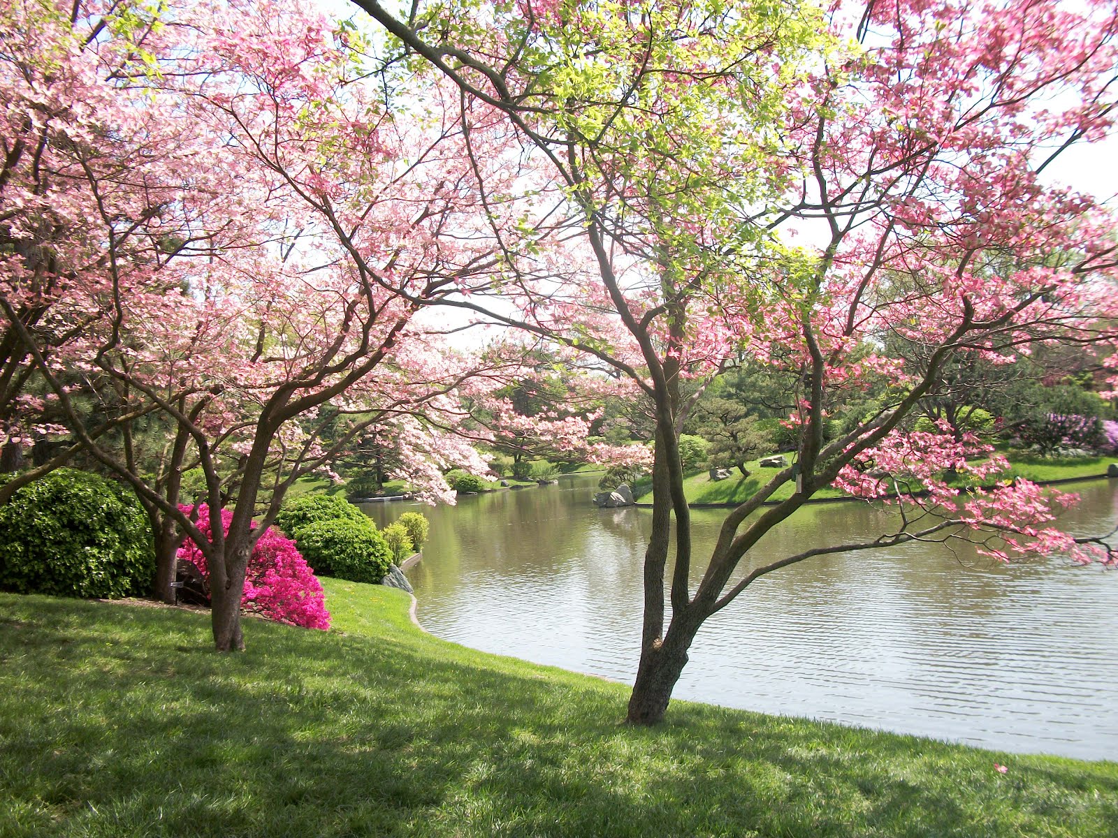 Kingfisher Farm Teddies and Folk Art: Botanical Gardens