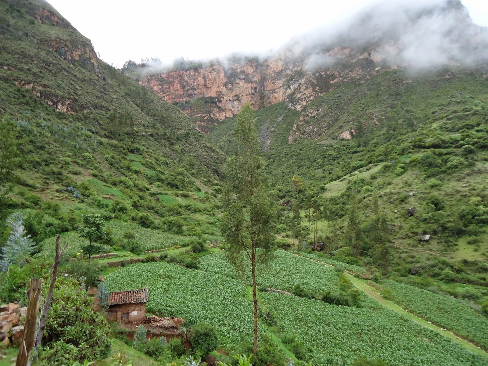 VALLE DEL DISTRITO TURPO ANDAHUAYLAS: COMUNIDAD DE CHAUPIMOLLE .TURPO ...
