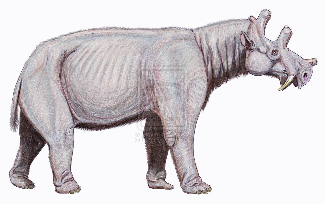 Los animales en la prehistoria: Animales prehistóricos con la letra E