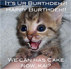 Photography: LOLCats - It's Your Birthday?! Happy Birthday