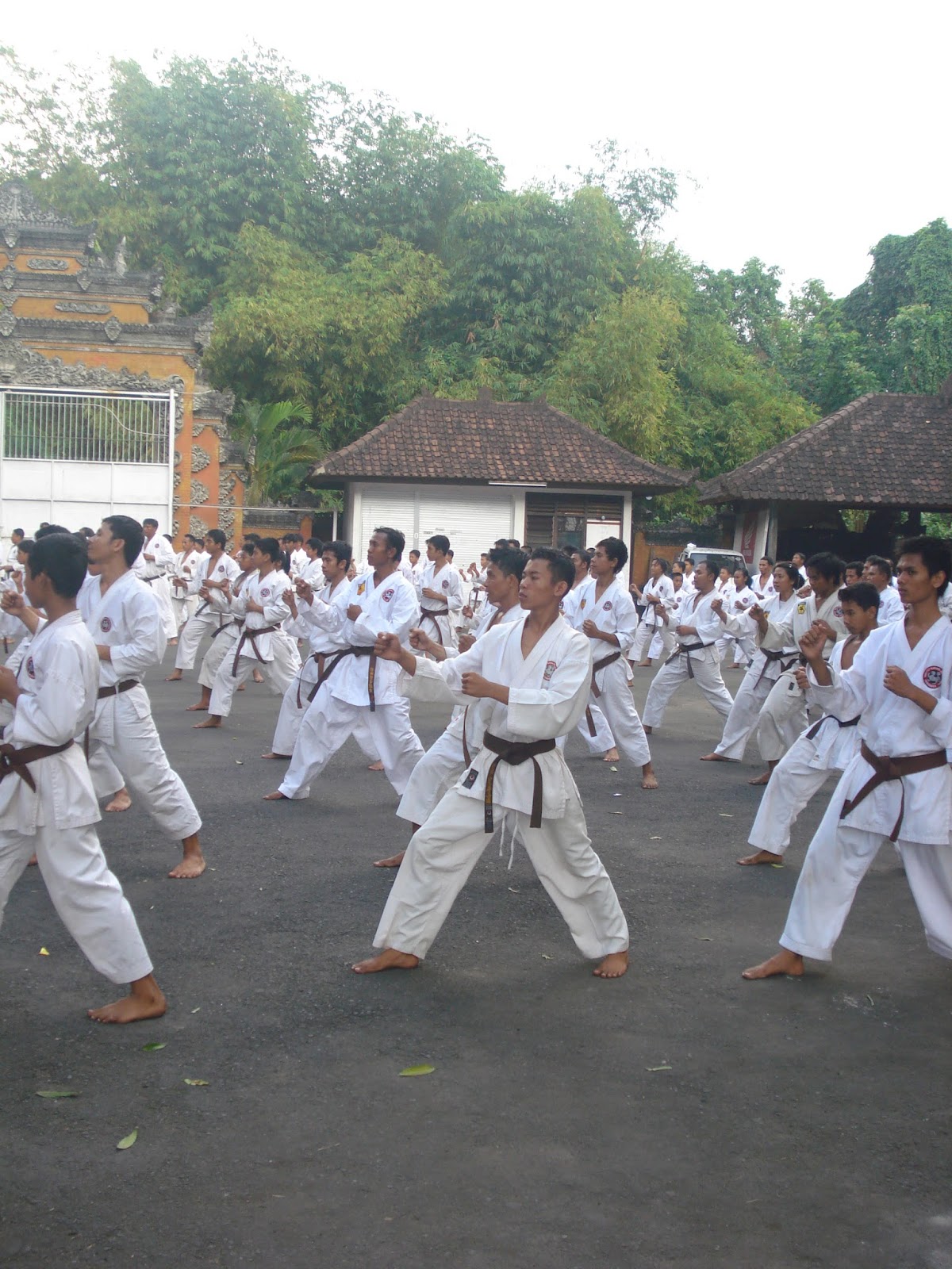 INKANAS SUMBAWA Collection ~ Tizar Inkanas