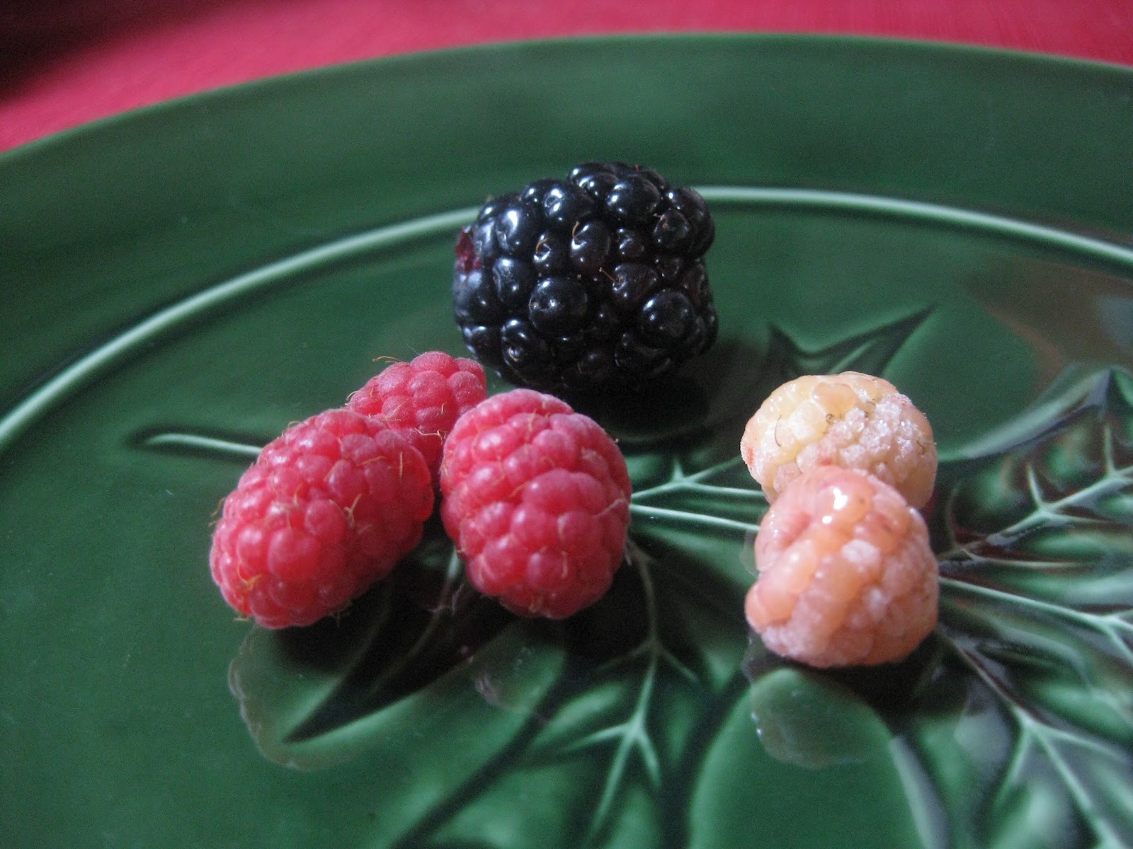 fruitfuldelights: Sneak Peek: Golden Raspberry Jam