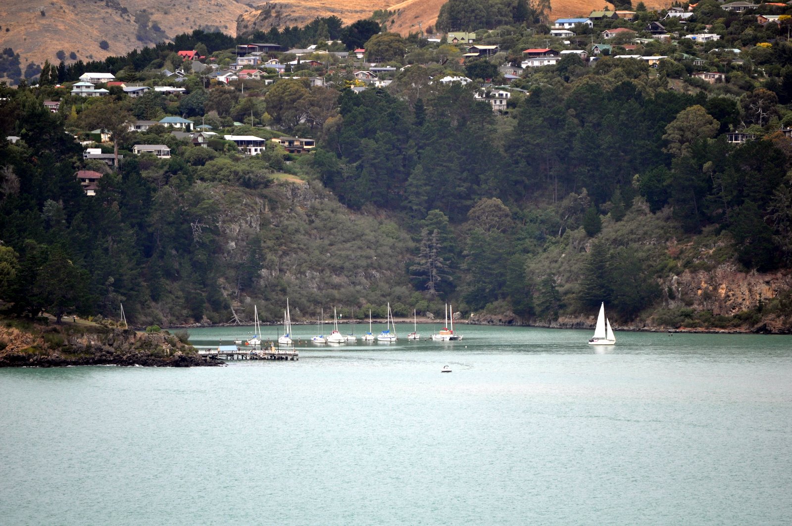 DUTCHCORNER: Lyttelton harbour