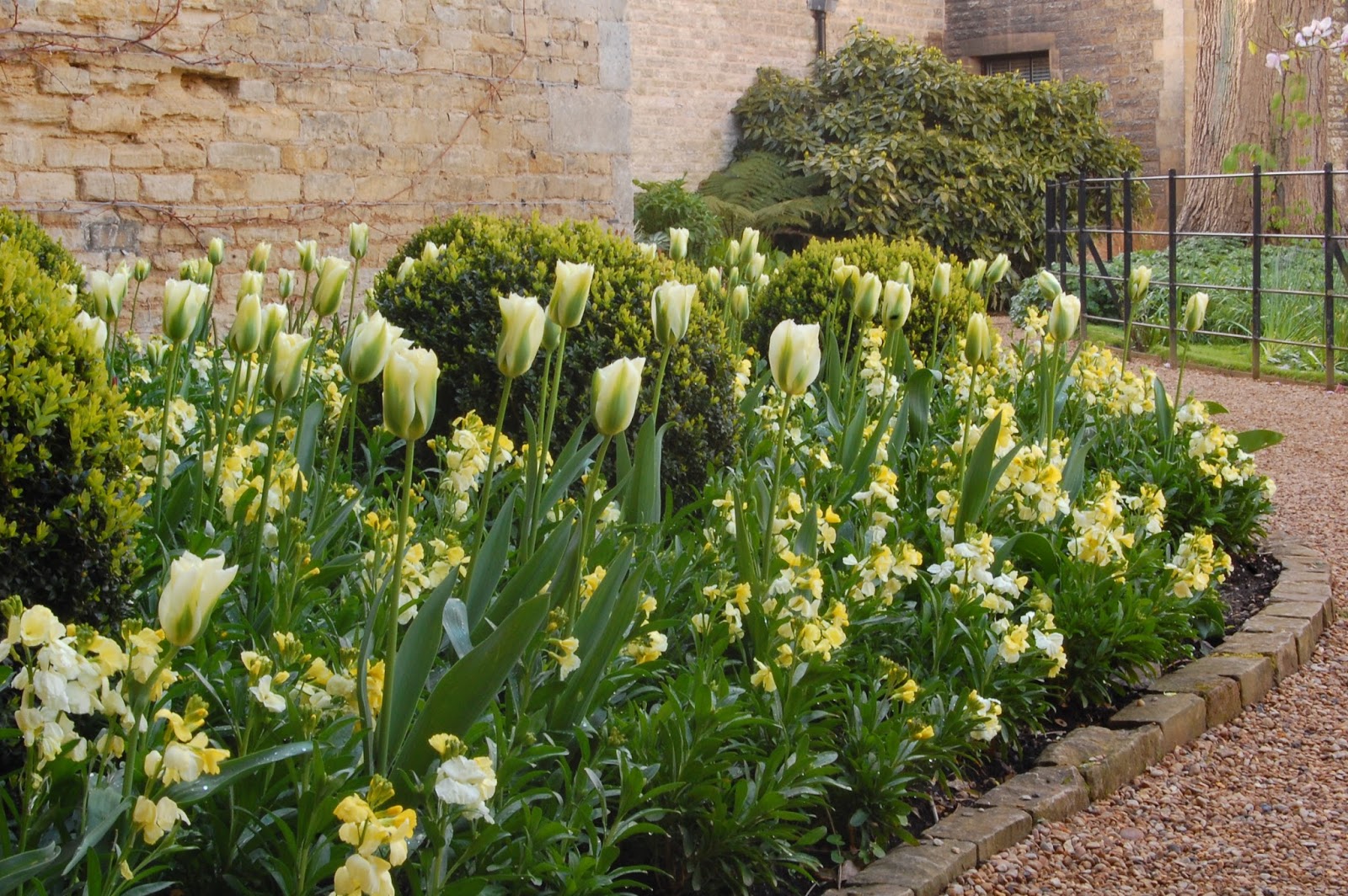 Worcester College Gardeners 2009-2018: The Triumph Of This Year's Tulip ...