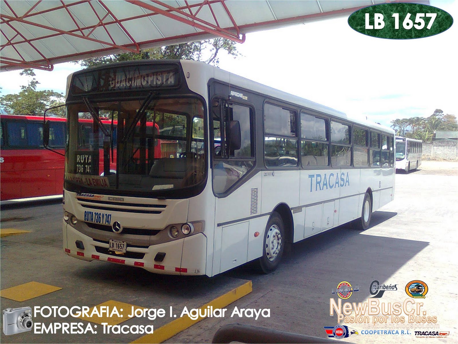 Más que buses: Galeria de Mayo: Servicio de Transportes HEBA S.A ...