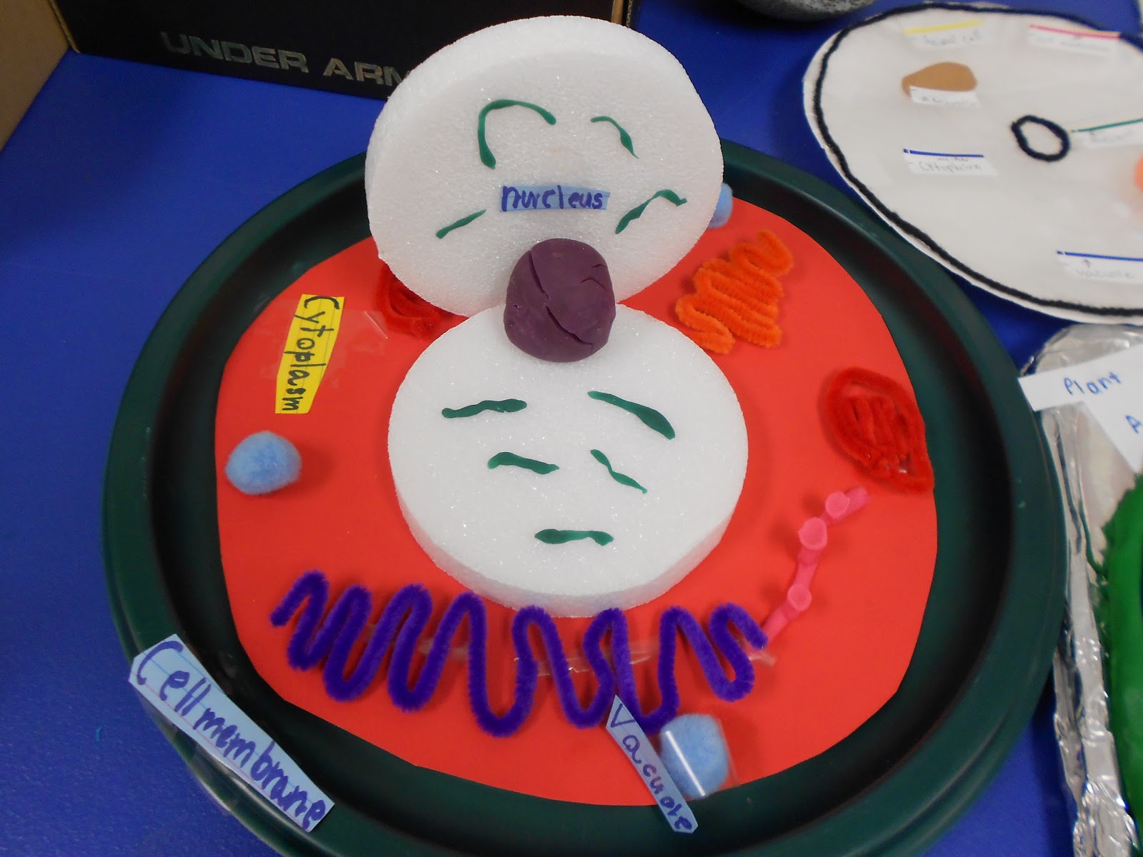 Mrs. McDonald's 4th Grade: Make a Cell Model Project