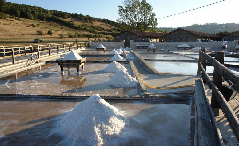 Portugal - Conheça o Mais Belo País da Europa : Nas Salinas de Rio ...