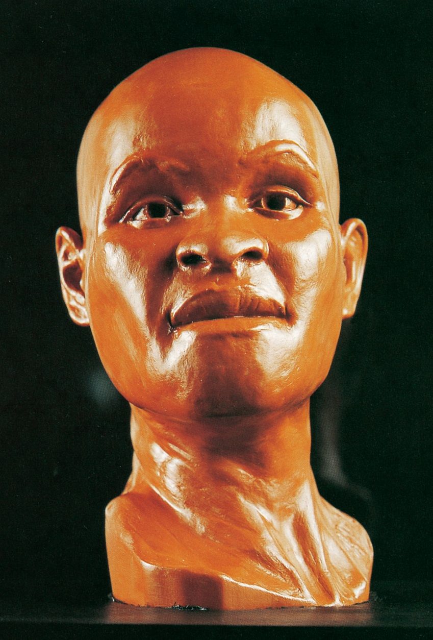 Australasian signal in the DNA of Amerindians | Patagonian monsters