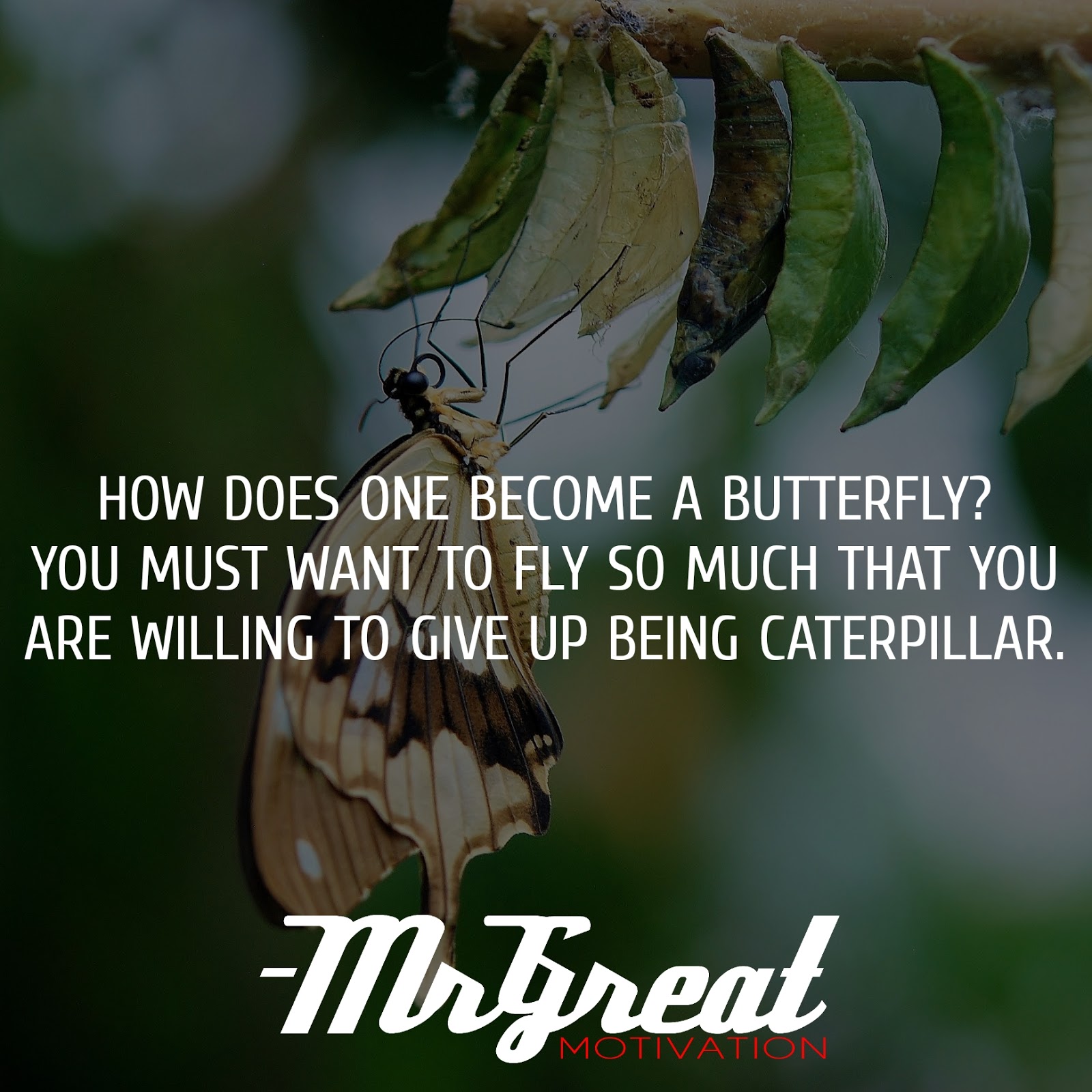 How does one become a butterfly? You must want to fly so much that you ...