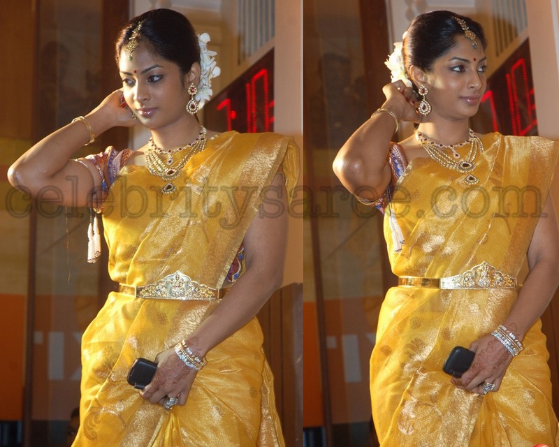 Shriya Reddy Silk Designer Saree - Saree Blouse Patterns