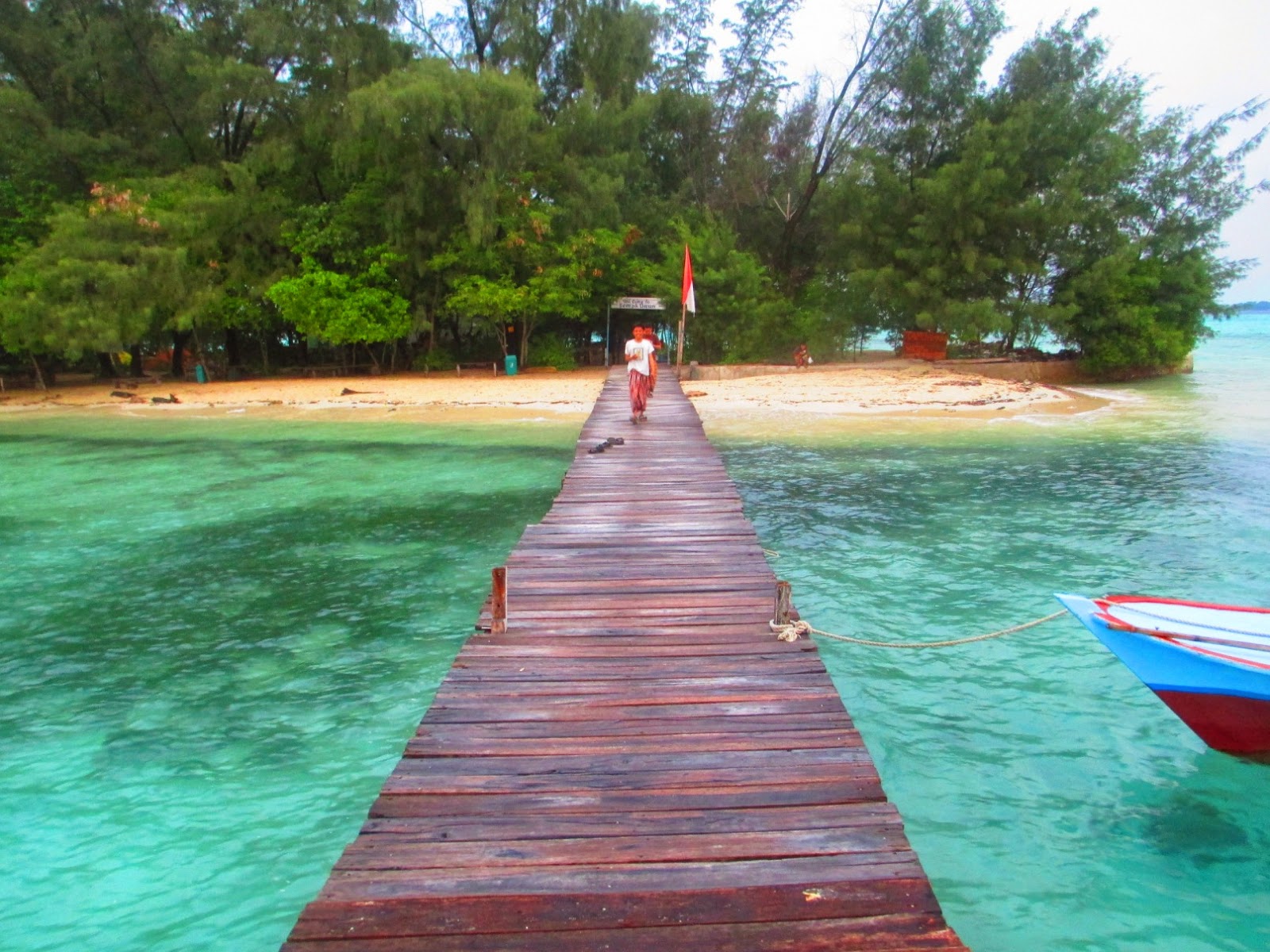 Keseimbangan: Semak Daun (2) – Serasa Pulau Pribadi