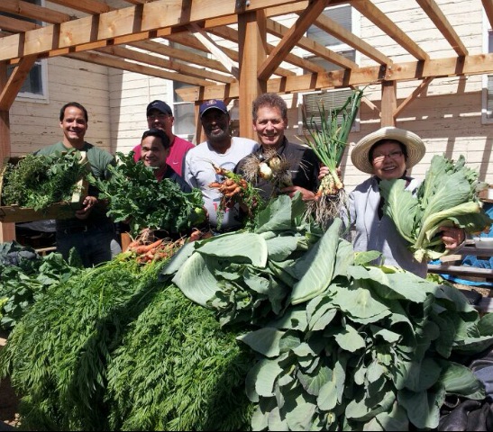 Tips on How to Pick and Store Your Vegetables