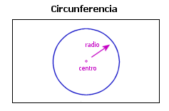la circunferencia