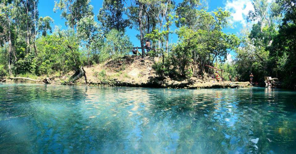 Ocean Crave: Cardwell's enchanted forest - Cardwell, North Queensland