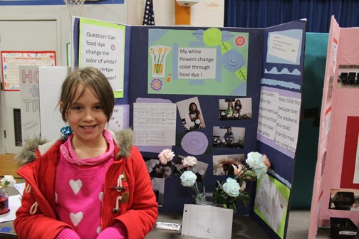 Sunnyland 4th Grade!: Science Fair!