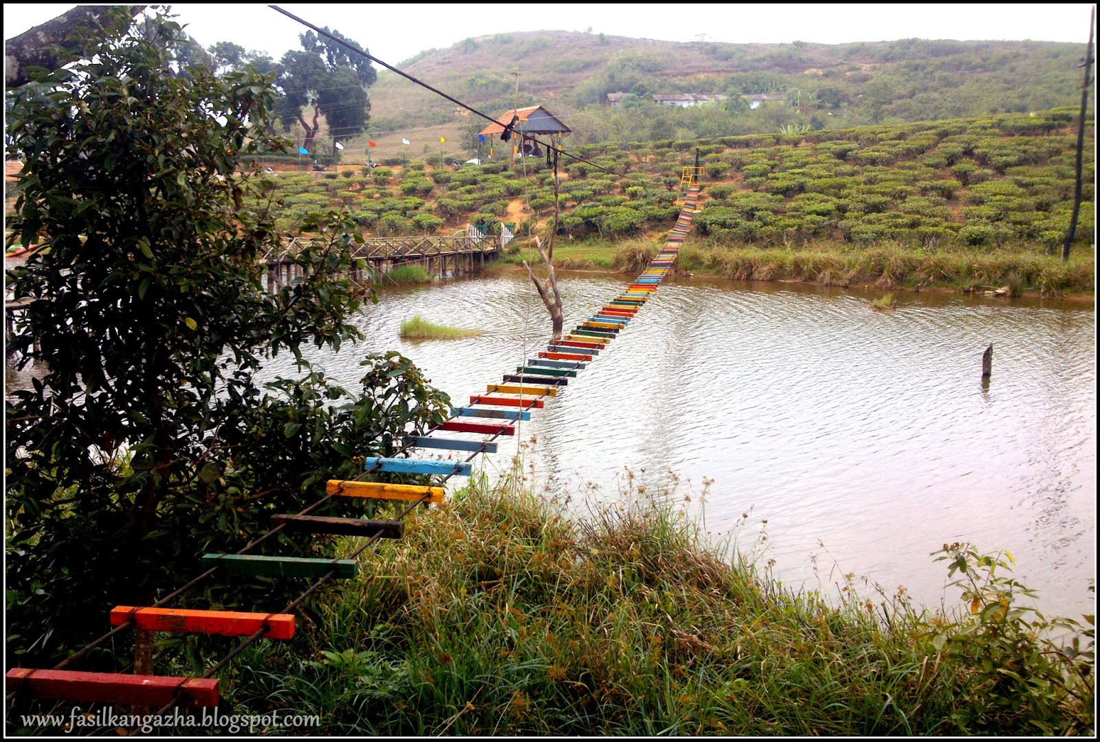 Fasil's: Tea Garden Lake , Vagamon
