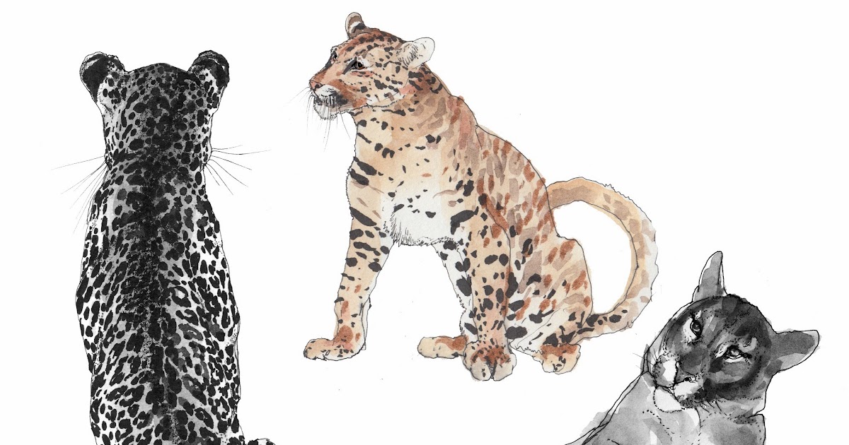 mina-milk illustration etc: leopard+puma hybrids