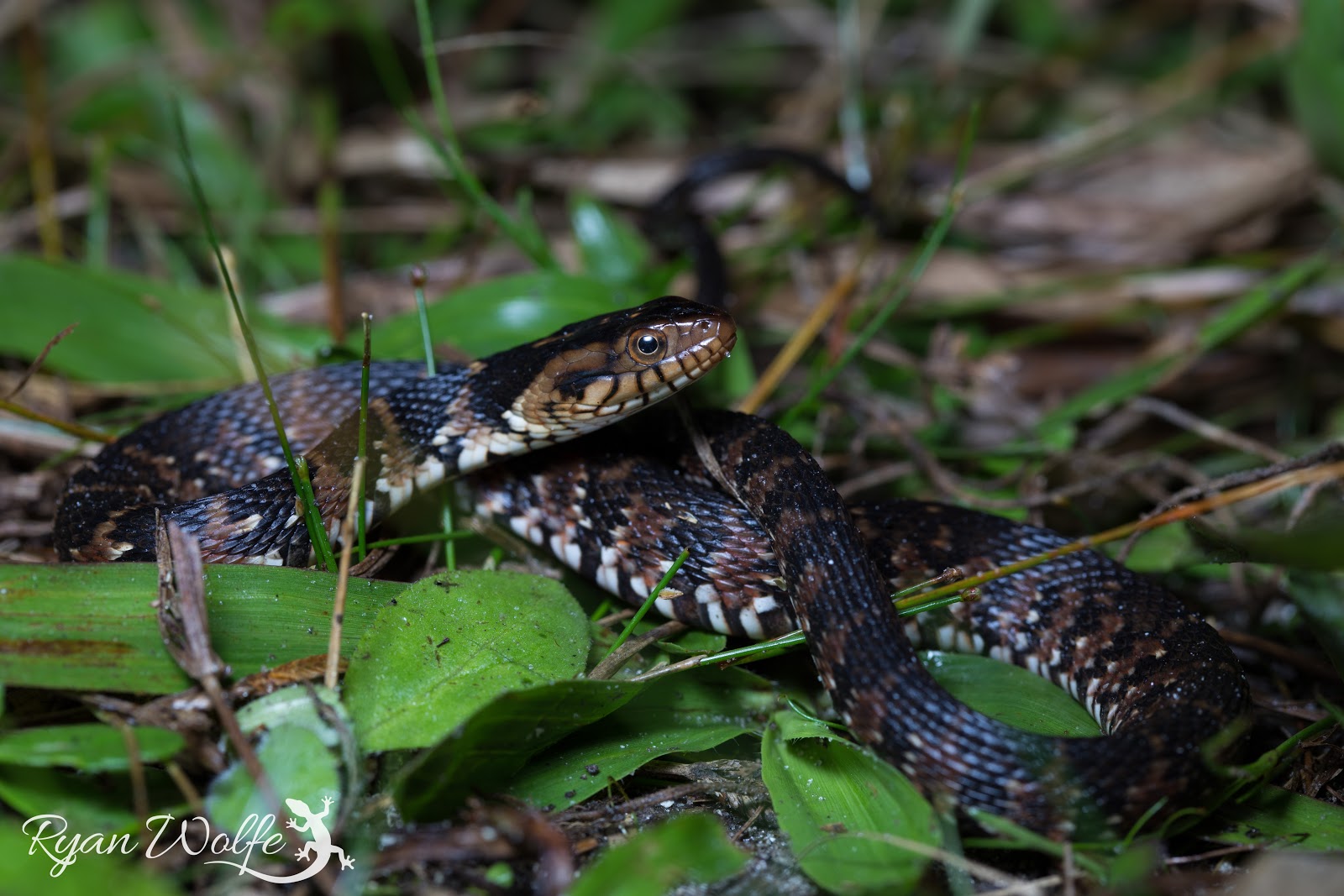 A Trip to the Sunshine State - Part 1