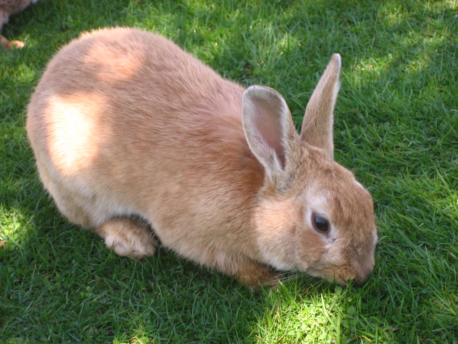 Farmhouse Bed & Breakfast Views and News - www.farmhousebb.com: Spring ...