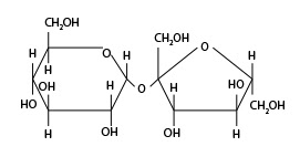 Scientific Explorer: Jam Science