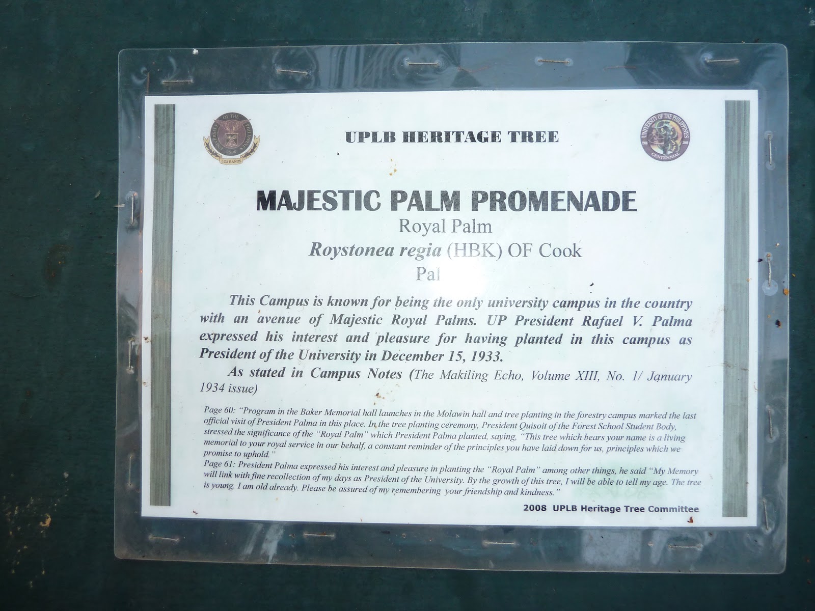 Connecting: Seen Oble at UPLB Lately?