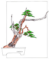 Mat Yie Garden: CUCUR ATAP / BEACKEA FRUTESCENS SIMULASI