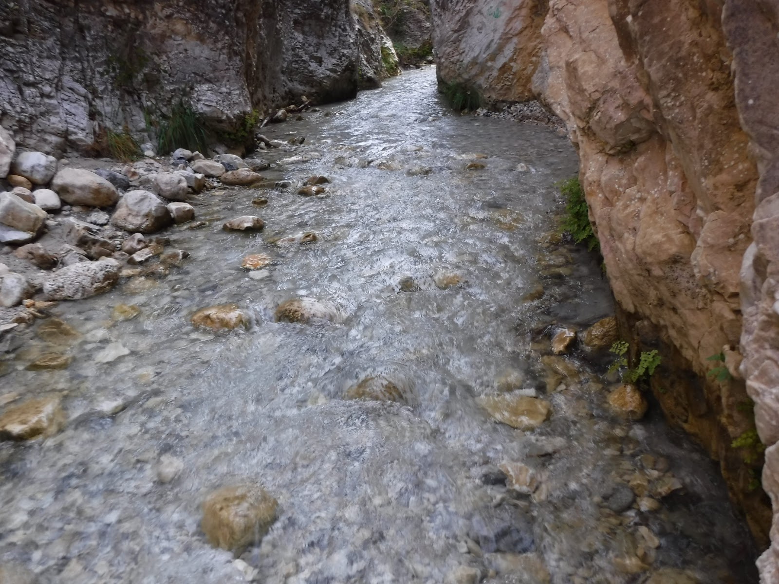 Senderismo Carlos y Petra: SENDERO RIO CHILLAR NERJA