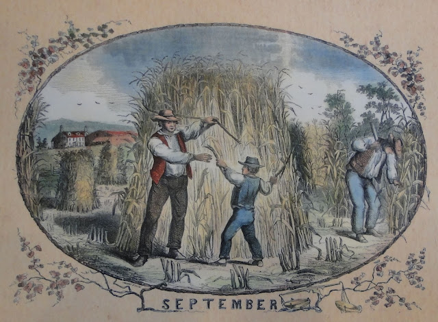 Passion for the Past: Early Farming & Farm Tools From Days Gone By