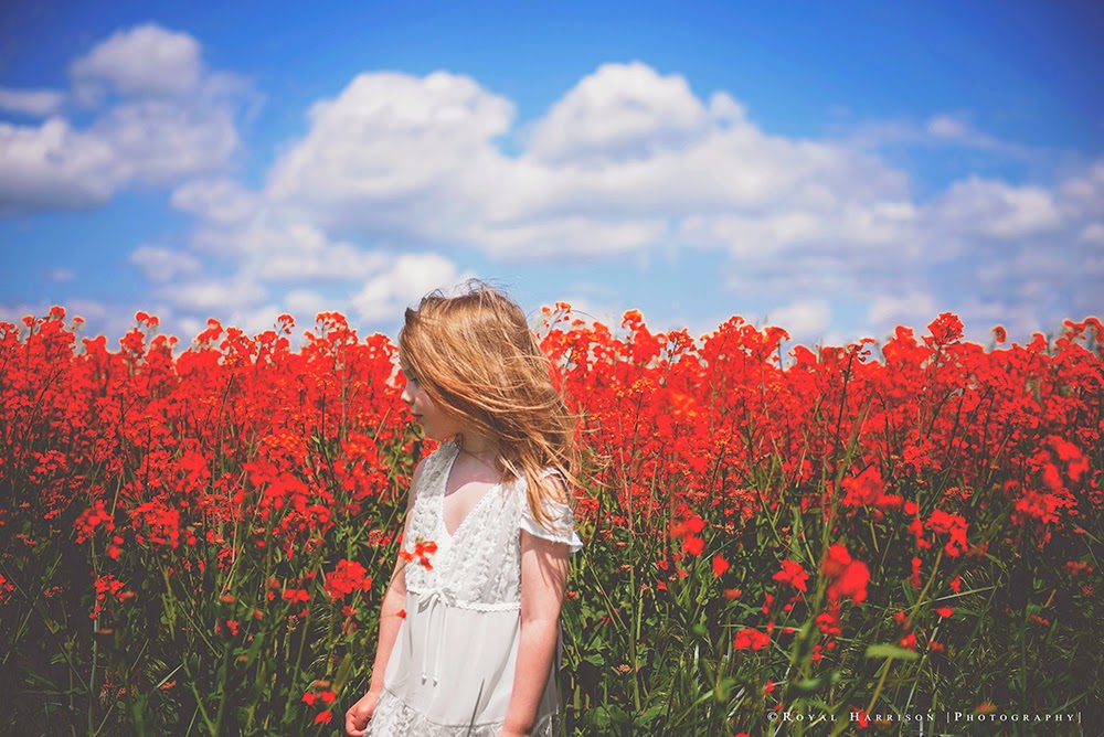 Royal Harrison Photography: Red